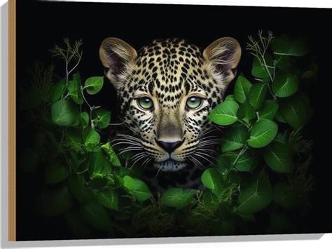 Hout Panter Struik Plant Bladeren 80x60 Cm 9 Mm Dik Foto