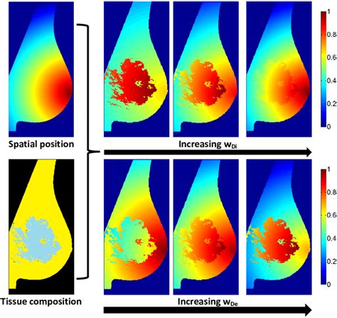 Sample Weight Maps Generated By The Combination Of The Spatial Position Download Scientific