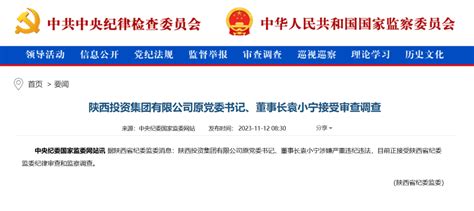 刚刚！千亿国企董事长，被查！袁小宁投资集团陕西
