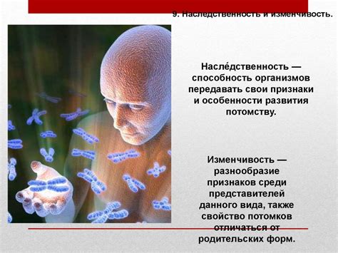 История развития биологии. Система биологических наук. (10 класс ...