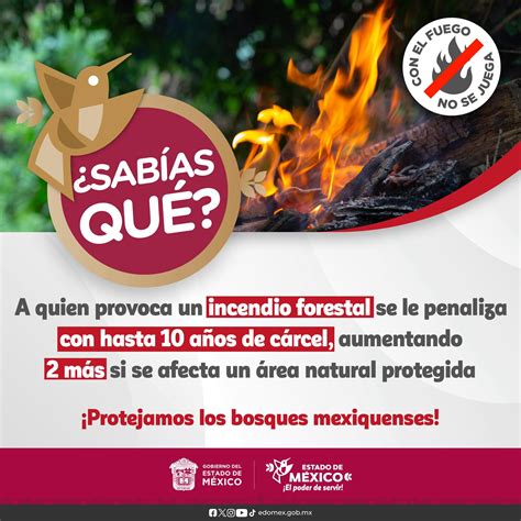 ¡protejamos Los Bosques Delfina Gómez Álvarez Facebook