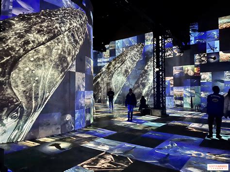 Album Photos Océans l Odyssée Immersive à l Atelier des Lumières