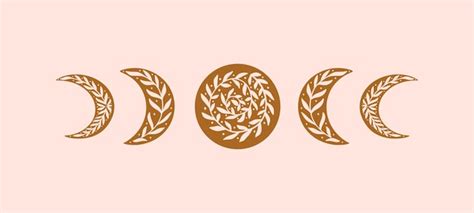 Ilustración De Vector De Fase Lunar Floral Formas Celestiales De