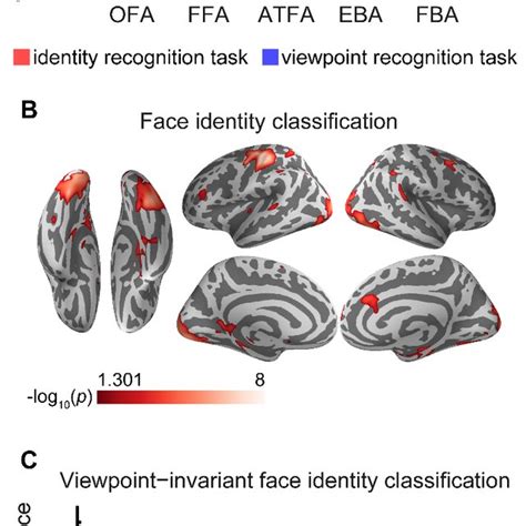Classification And Viewpoint Invariant Classification Of Face Identity