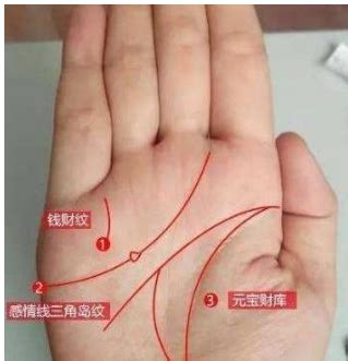 怎么看手相图解男怎么看男性手相手纹