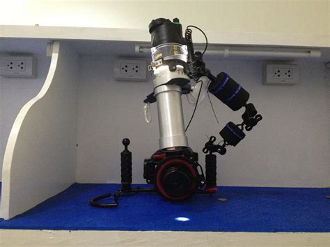 To Snoot Or Not To Snoot More Importantly What Is A Snoot