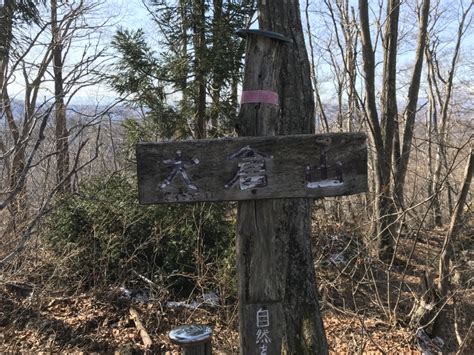 大倉山 標高 432m の登山記録 その日の気分次第