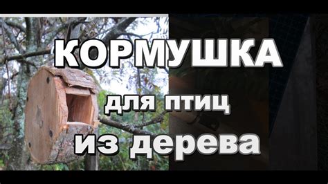 Оригинальная Кормушка для Птиц из дерева Youtube