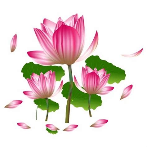 Beautiful 3d Lotus Flowers Wall Sticker For Living Room Bedroom Home
