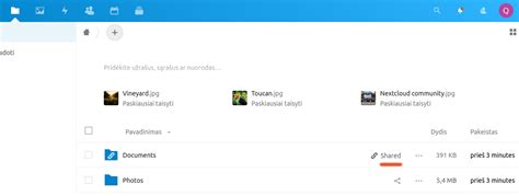 Untranslated Word Shared · Issue 24537 · Nextcloudserver · Github