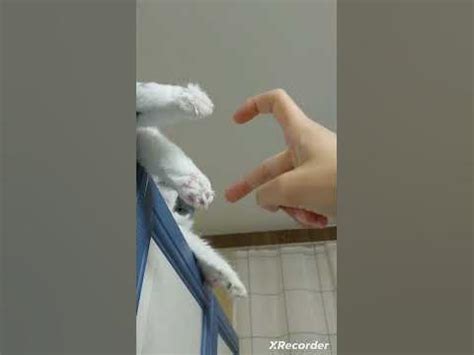 Парное сердечко!💗 - YouTube