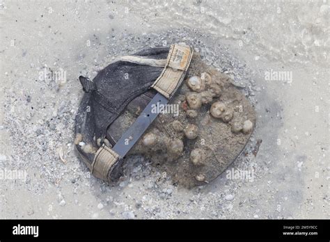 Dickmans Insel Fotos Und Bildmaterial In Hoher Auflösung Alamy