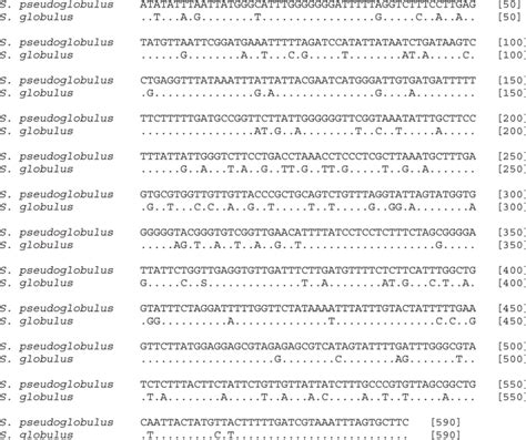 nucleotide alignment of partial barcode sequences of sphaeridiotrema
