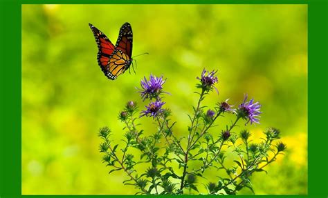 Routine Maintenance Of Barcode Label Printer Barcode Technology