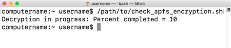 apfs encryption status check script der flounder