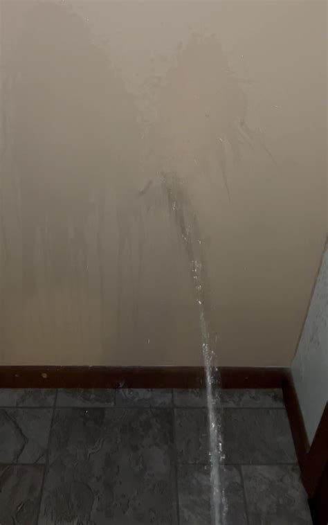 Piss Art Thisvid Com