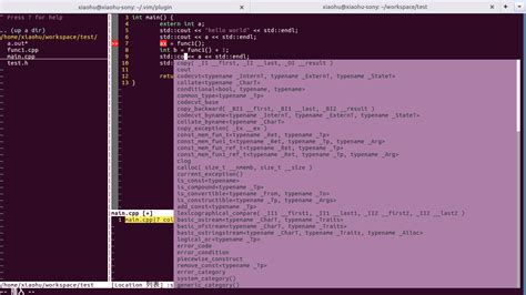 Vim For C Vimforc Arm Csdn