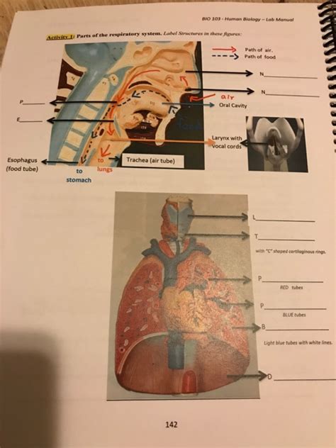 Solved Bio 103 Human Biology Lab Manual Tity Parts Of The