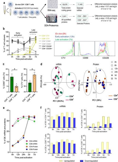 Integrative Temporal Multi Omics Reveals Uncoupling Of Transcriptome