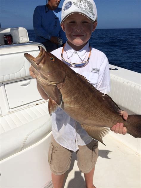 Scamp Grouper Fishing In The Florida Keys