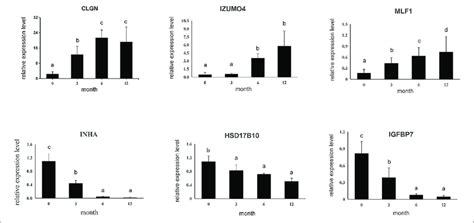 Six Differential Expressed Genes Were Validated Using QPCR Data