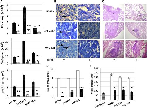 Mycobacterium Tuberculosis Driven Targeted Recalibration Of Macrophage