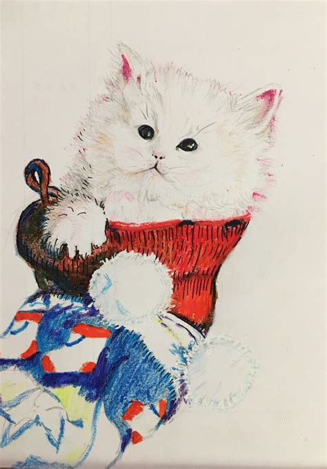 月亮貓插畫amees Cats 你的青春也是我的青春