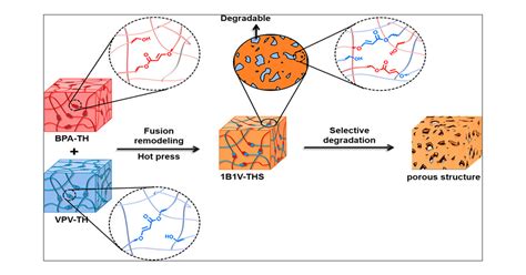 Unexploited Design And Application Of Dynamic Covalent Networks Phenol Yne Click Reaction And