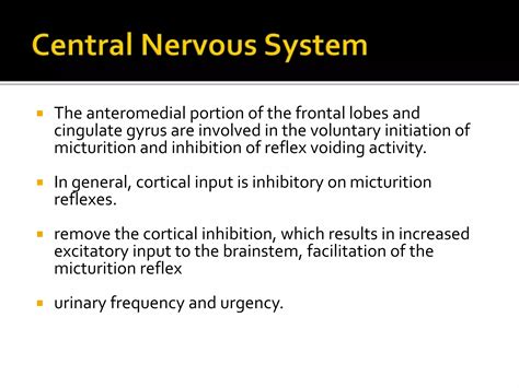 Bladder Physiology Pptx