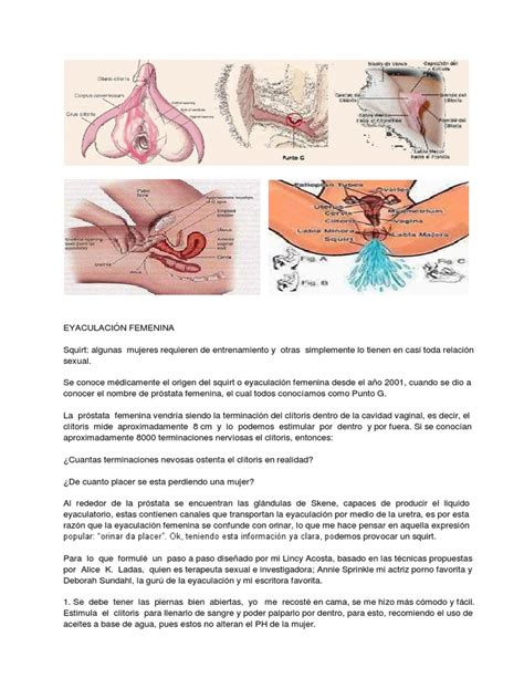 Eyaculacion Femenina Pdf Eyaculación Orgasmo