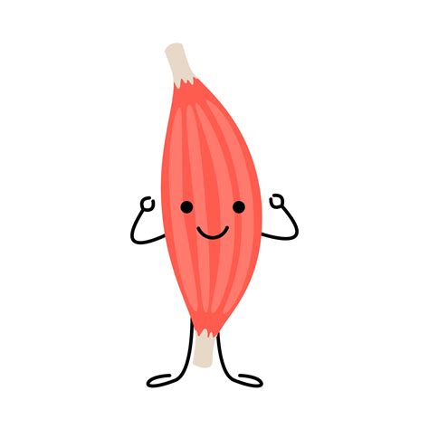 Happy Strong Muscle Cartoon Character Demonstrate Strength And Power