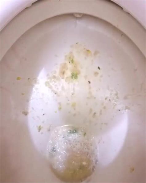 Girl Puking With Great Sounds ThisVid Com