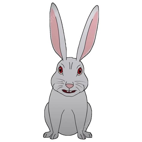 토끼 토끼 클립 아트 벡터 일러스트 레이 션 고립 된 사진 이미지 토끼 클립 아트 귀여운 토끼 Png 일러스트 및 벡터