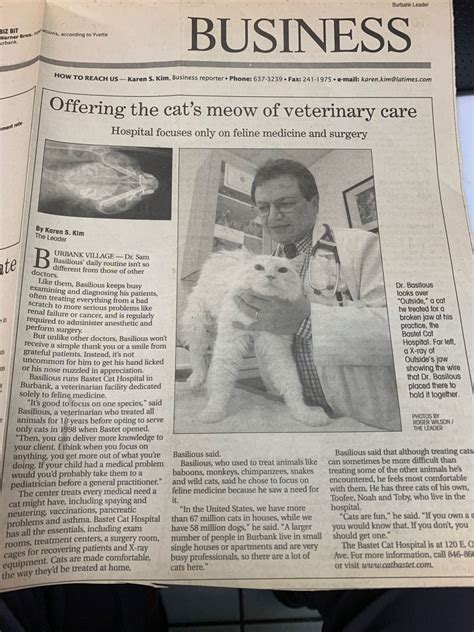 Sam Basilious Dvm On Linkedin Feline Mandibular Fracture Repair La