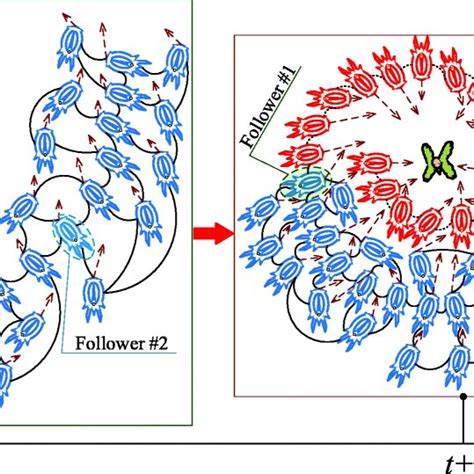 10 Dimension Unimodal Function Box Plot Download Scientific Diagram