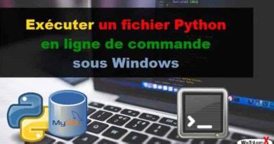 Tri Bulle En Python Waytolearnx