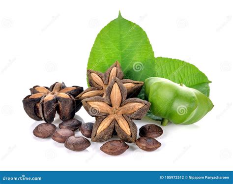 Sacha Inchi On White Background Royalty Free Stock Image