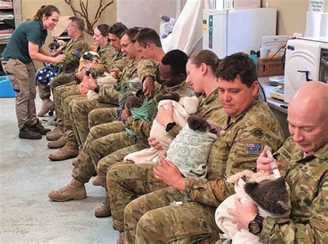 休日にコアラを抱っこして看病！オーストラリア軍兵士たちの姿に癒される フロントロウ ｜ グローカルなメディア