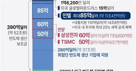 그래픽 미국 반도체법에 따른 보조금 지원 계획