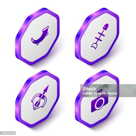 아이소메트릭 사냥 뿔 죽은 물고기 중세 활과 화살 사진 카메라 아이콘을 설정합니다 보라색 육각형 버튼 벡터 3차원 형태에 대한 스톡 벡터 아트 및 기타 이미지 Istock