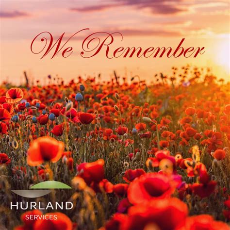 Liam Carr Posted On Linkedin