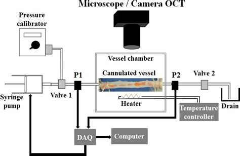 In Vitro Artery Organ Culture With Schematic Components Of The Static