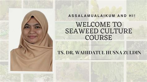 Itel Learning Management System Universiti Malaysia Sabah Search Results