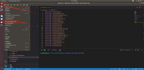 linux环境下的vscode使用教程 vscode linux csdn博客