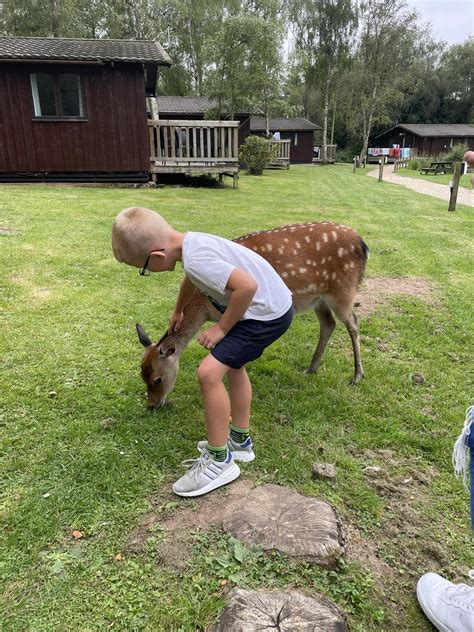 Shannon Eason Shannoneason13 Twitter