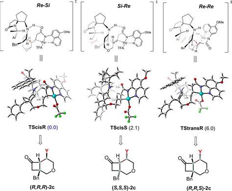 Representation Of Transition Structures With Relative Energies
