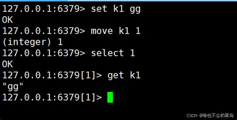 Redis7——基础篇(二)redis查看所有key和value Csdn博客 Redis7——基础篇(二)redis查看所有key和value Csdn博客