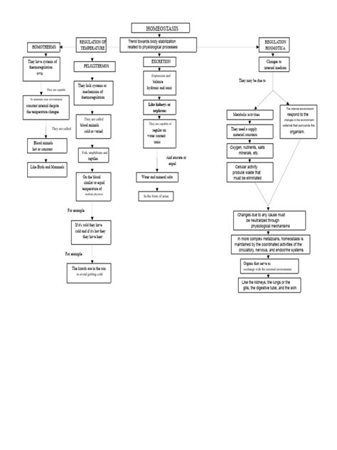 Conceptual Map Homeostasis Pdf Thermoregulation Homeostasis