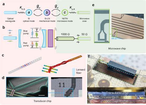 Figure 1 From Optically Heralded Microwave Photons Semantic Scholar