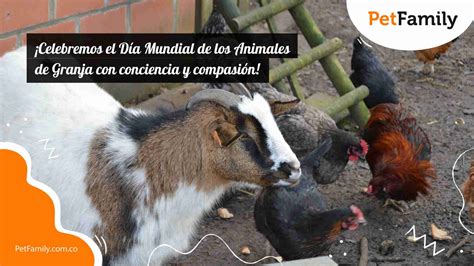 Celebremos el Día Mundial de los Animales de Granja con conciencia y